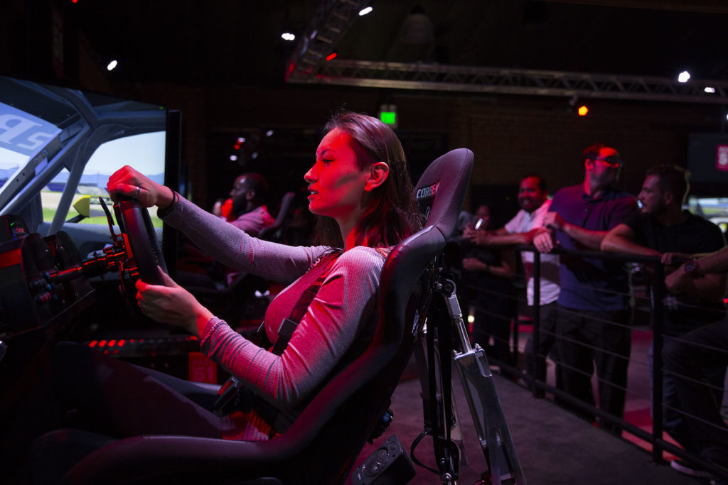 Motion Pro II - Professional Racing Simulator & Flight Simulator for ...